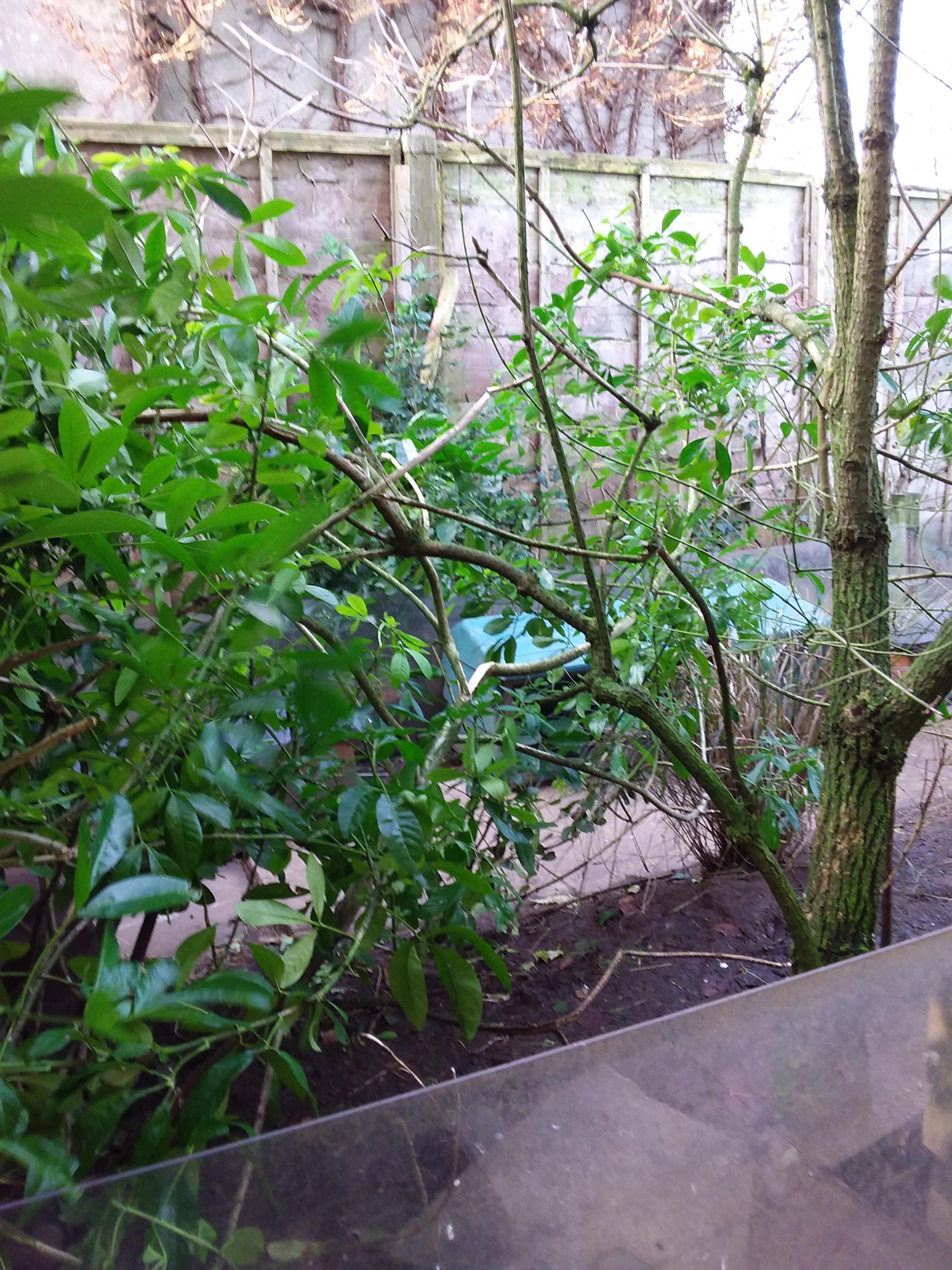 Happy Hedgehogs at the Northumbrian Hedgehog Rescue Trust | Doxdirect